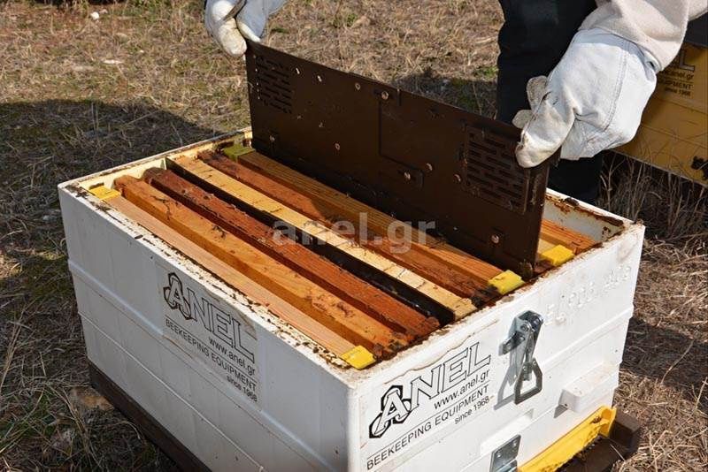 Beehive Vertical Divider - Queen Excluder Adjustable ANEL Langstroth ...